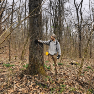 Are you interested in selling your timber?